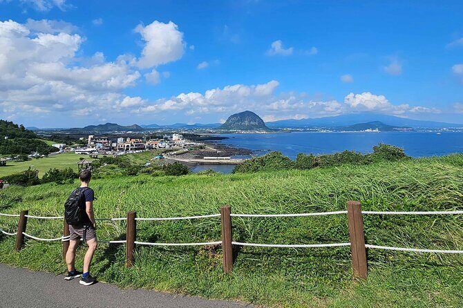 Jeju Island SouthWest UNESCO Day Tour - Final Thoughts