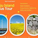 Jeju Island UNESCO Heritage Bus Tour - What Travelers Say