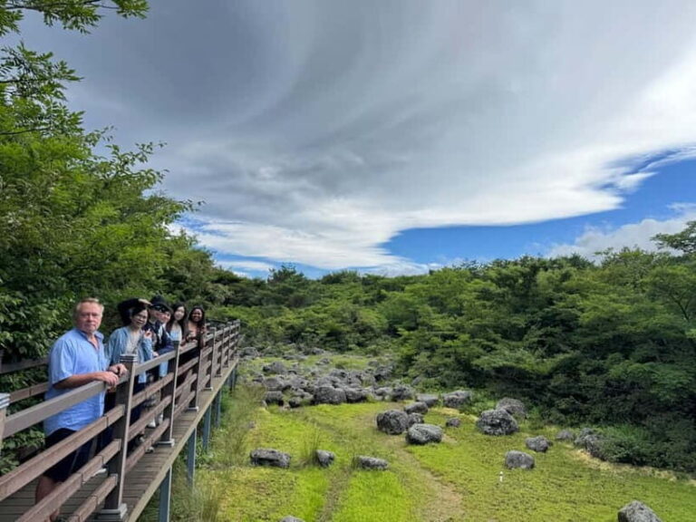 Jeju: Popular Sightseeing Private Car Charter Tour - Who Should Consider This Tour?