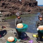 Jeju Premium Small Group UNESCO Day Tour - East - Authentic Experiences and Value