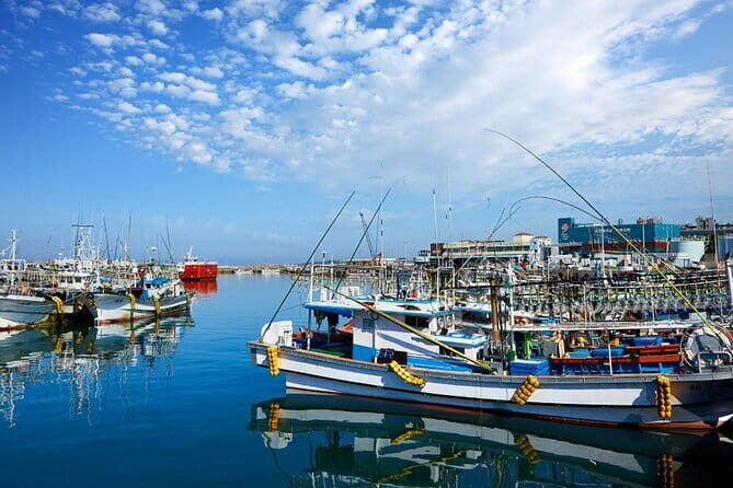 Jeju Private Taxi Tour Cruise Shore Excursion Car Charter - Key Points