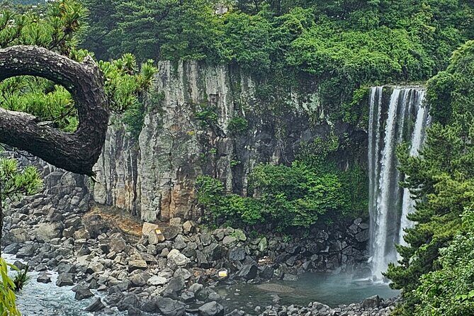 Jeju Private Tour Package-South of Jeju(Mt.Hallasan & Waterfalls) - Transportation and Comfort