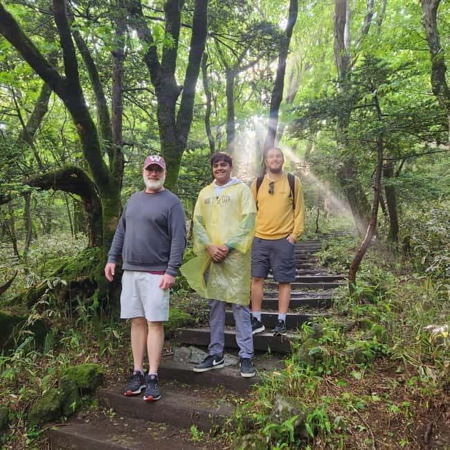 Jeju: Southern Top UNESCO Spots Tour - Why This Tour Works for Many Travelers