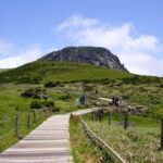 Jeju: UNESCO Day Tour for Cruise Guests - Itinerary Breakdown: What You’ll See and Why It Matters