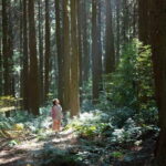 Jeju Unesco Eest course Package Private Van Guided Tour - Gwangchigi Beach and Seongsan Ilchulbong: Iconic Coastal and Volcanic Views