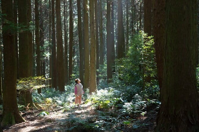Jeju Unesco Eest course Package Private Van Guided Tour - Gwangchigi Beach and Seongsan Ilchulbong: Iconic Coastal and Volcanic Views