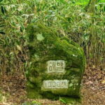 Jeju West Highlights Day Tour  Real Nature & Culture Experience - Transportation, Group Size, and Overall Value