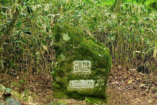 Jeju West Highlights Day Tour  Real Nature & Culture Experience - Transportation, Group Size, and Overall Value