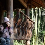 Jeonju Hanok Stay & Mt. Jiri Hiking from Seoul - Mt. Jiri Hiking: The Heart of Nature