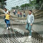 Jewel Changi Airport: Walking Net + Complimentary Canopy Park - The Sum Up