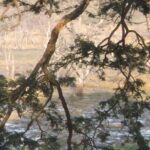 Jhalana Safari Park Leopard- One Jungle Jeep Safari And One Night Stay In Hotel - Final Thoughts