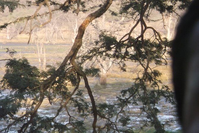 Jhalana Safari Park Leopard- One Jungle Jeep Safari And One Night Stay In Hotel - Final Thoughts