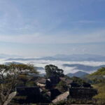Jingmai Mountain (UNESCO) | Old Tea Forests and Dai Villages - Who Will Enjoy This Tour Most?