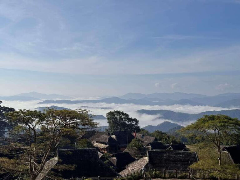 Jingmai Mountain (UNESCO) | Old Tea Forests and Dai Villages - Who Will Enjoy This Tour Most?