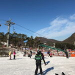 Jisan Forest Ski Resort and Everland 1 Day Tour - Why This Tour Is Worth Considering