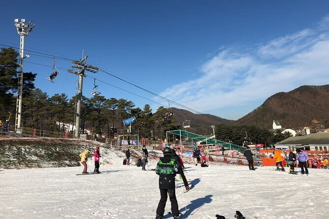 Jisan Forest Ski Resort and Everland 1 Day Tour - Why This Tour Is Worth Considering