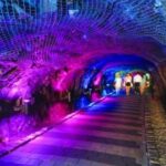 Jjimjilbang (Korean Spa) & Culture 7days 6nights - Who Should Consider This Tour?