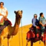Jodhpur Camel & Jeep Safari with Sunset, Folk Dance, Dinner - How the Tour Unfolds: A Deep Dive