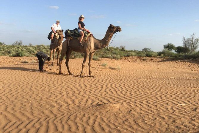Jodhpur Camel Safari & Jeep Safari In Desert Jodhpur SR - Who Will Love This Tour?