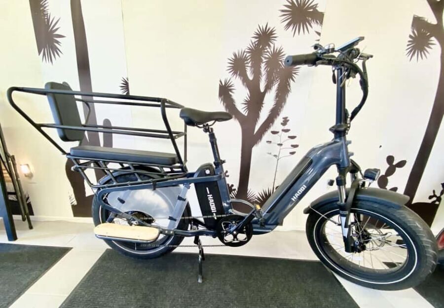 Joshua Tree National Park: E-Bike Rental - Why the Value Is Right for Many Travelers