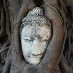 Journey from Bangkok to Chiang Mai (6 days 5 nights) Tour start from 2 people - Chiang Rai: The Artistic and Scenic North