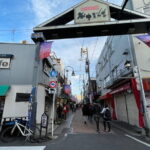JPN Sweets & Sake Pairing after Old Tokyo Walk w/ a local guide - An In-Depth Look at the Tour Experience
