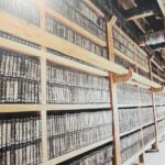 Junam Wetlands and Haeinsa Temple Tour - A Closer Look at the Tour