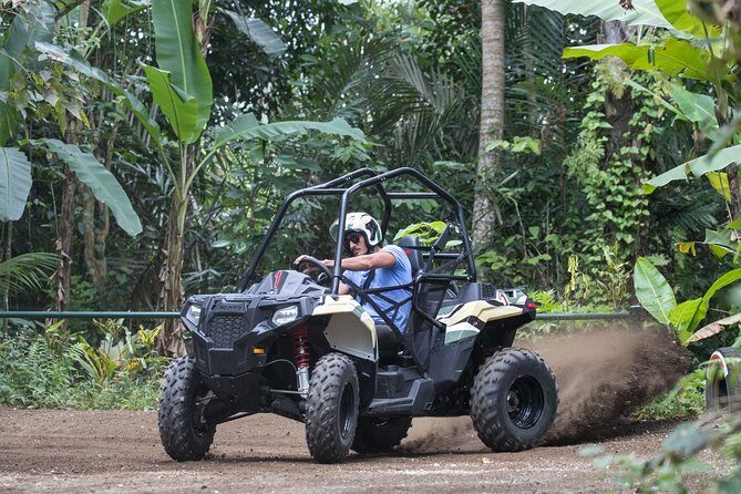 Jungle Buggy Adventure and Ubud Tour - Who Would Appreciate This Tour?