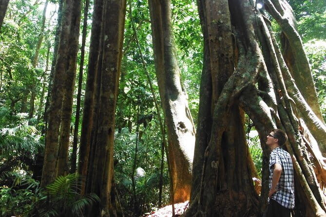 Jungle Experience: 1 Day Trek in Nam Ha NPA - What’s Included and What to Bring