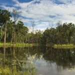 Jungle Safari Tour in Chitwan National Park - Authenticity and Traveler Feedback