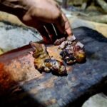 Jungle Survival Tour - Return to Nature - Depart from Hue, Da Nang - Day 4: Returning to Hue and Reflection