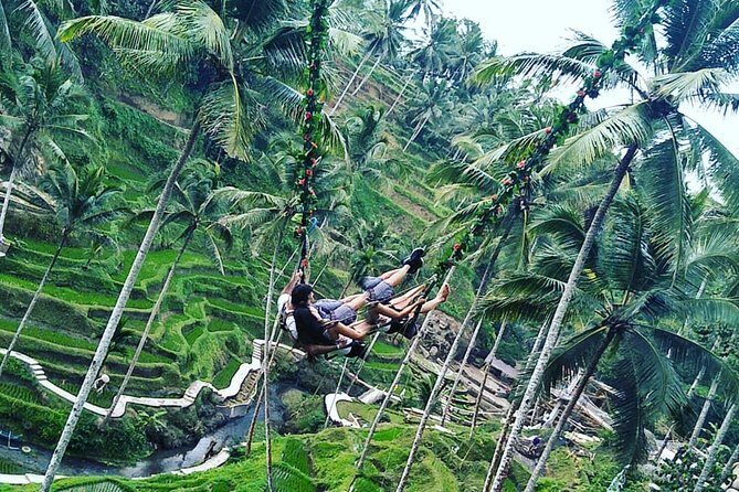 Jungle Swing & White Water Rafting Experience - Introduction to the Tour