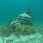 Jungle Tour & Snorkel at Punta Nizuc Reef , Underwater museum - A Detailed Breakdown of the Itinerary