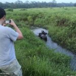 Jungle Tower Night Stay in Chitwan National Park 2 Nights 3 Days - Practicalities and Value
