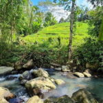 Jungle Trekking at Mt. Batukaru, scenic Waterfall & village life - The Value of This Tour