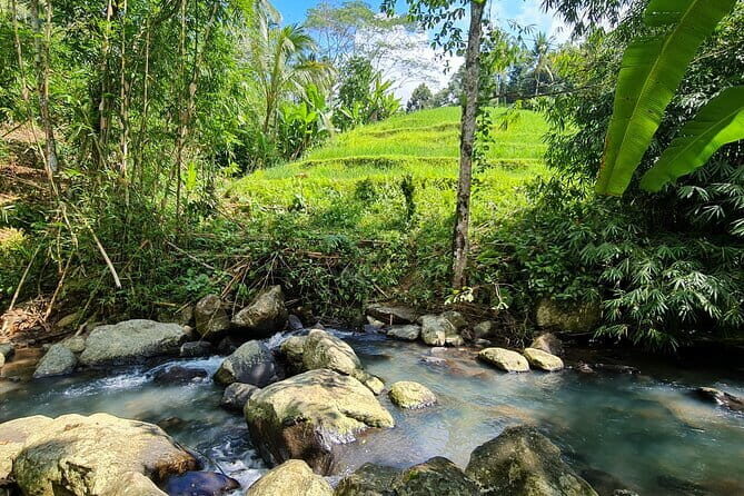 Jungle Trekking at Mt. Batukaru, scenic Waterfall & village life - The Value of This Tour