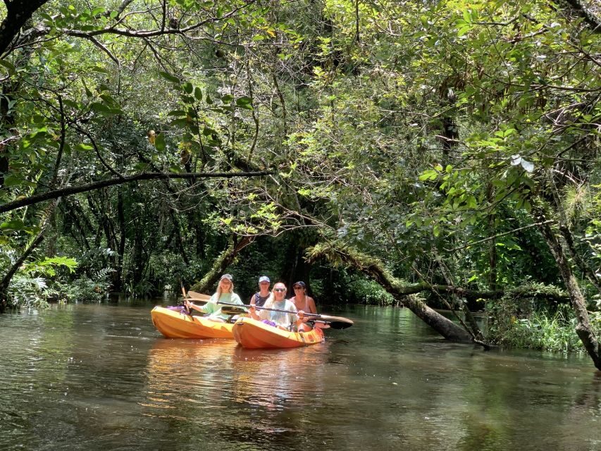 Jupiter: Wild and Scenic Loxahatchee River Kayak Tour - Who Will Love This Tour?