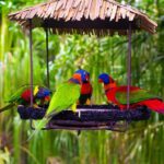 Jurong Bird Park Bird Photography - What to Expect at Jurong Bird Park Bird Photography Tour