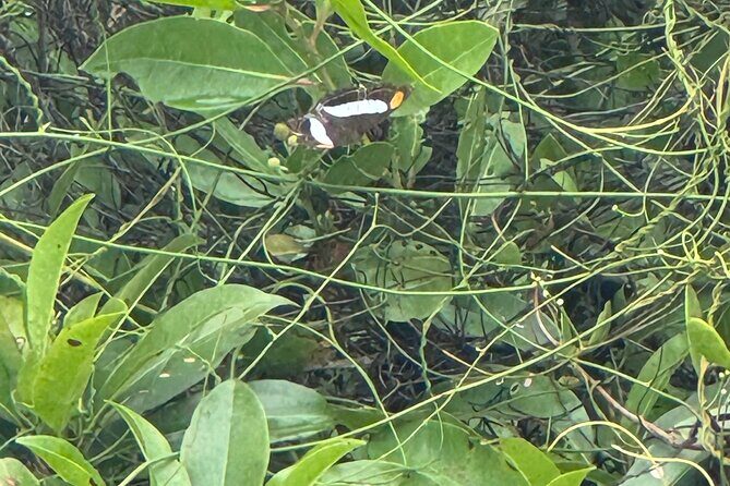 Kaan Luum Lagoon and Cenote Adventure - The Sum Up