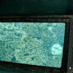 Kabira Bay Guided Tour by Electric Trike in Ishigaki Island, Okinawa - Practical Details to Know