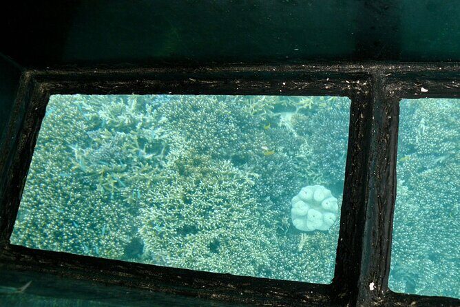 Kabira Bay Guided Tour by Electric Trike in Ishigaki Island, Okinawa - Practical Details to Know