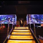 Kabukicho, Shinjuku: experiencing Japanese Host Club - Authentic Insights from Reviews