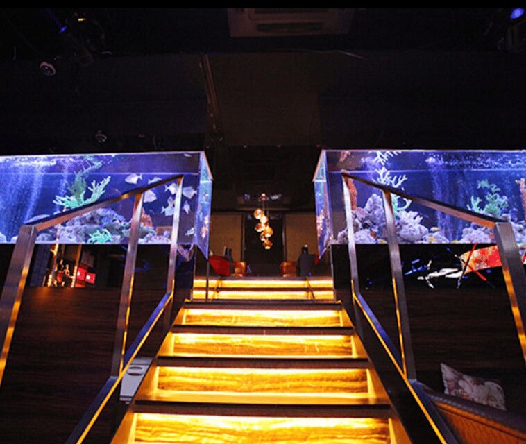 Kabukicho, Shinjuku: experiencing Japanese Host Club - Authentic Insights from Reviews