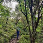 Kaflani Day Hike - Mussoorie - What Youll See and Experience