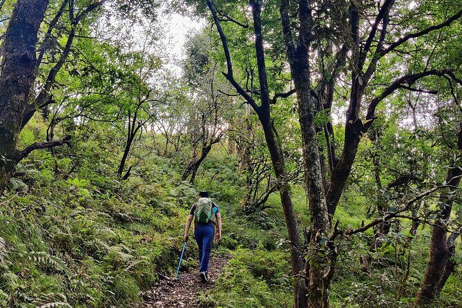 Kaflani Day Hike - Mussoorie - What Youll See and Experience
