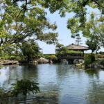 Kagoshima: A Journey Through the Beauty and Tradition - Final Thoughts: Who Would Love This Tour?