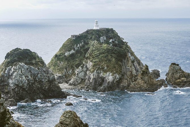 Kagoshima Private Customizable Half Day Tour - FAQ