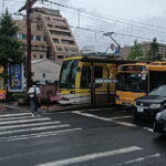 Kagoshima Shore Excursion Shopping Tour with Wagyu Lunch Included - The Scenic Transit and Local Vibes