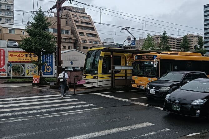 Kagoshima Shore Excursion Shopping Tour with Wagyu Lunch Included - The Scenic Transit and Local Vibes