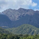 Kagoshima: Volcano, Coast & Hot Springs Guided Tour - Lunch: Fresh Flavors by the Sea
